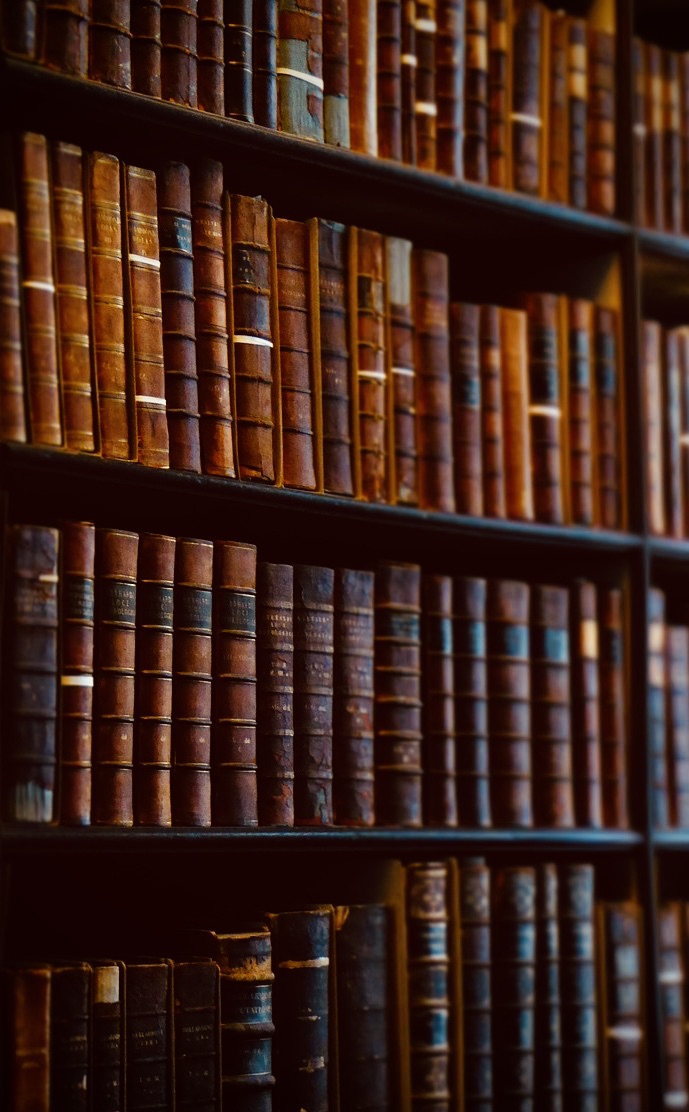 Publications – Zvi Biener